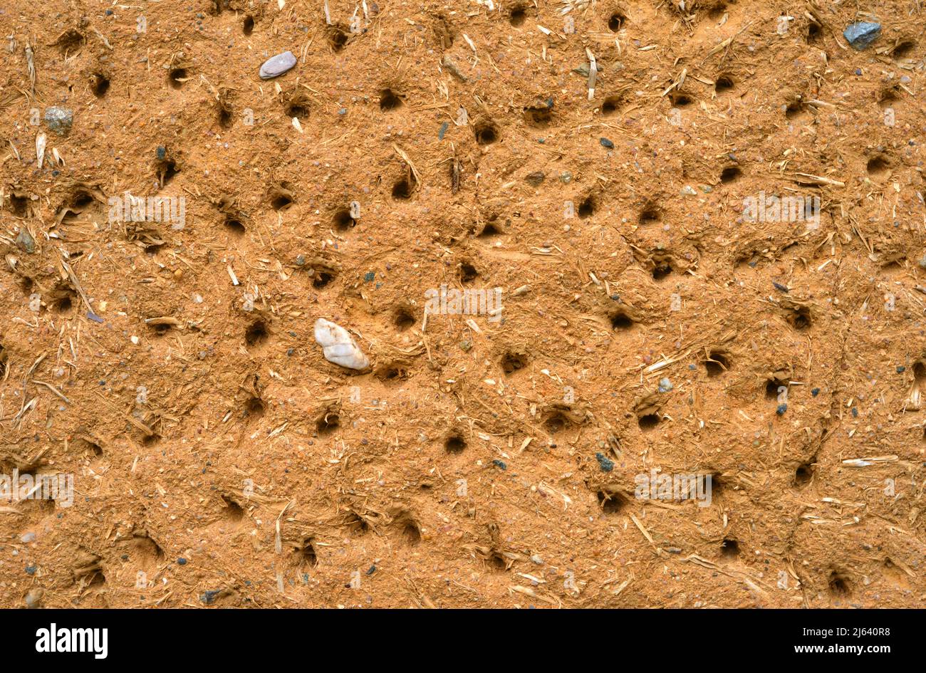 Clay wall texture background Stock Photo - Alamy