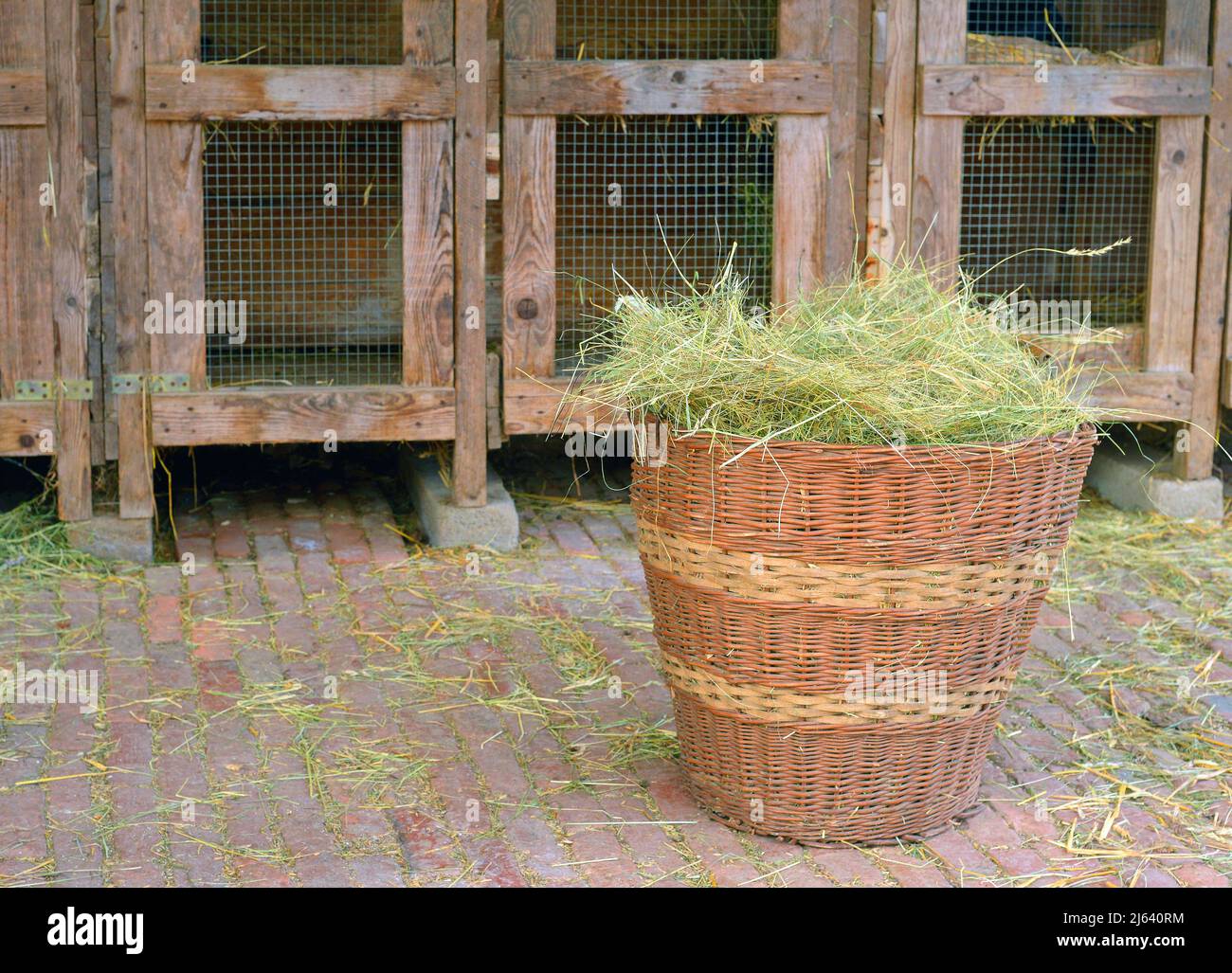 rabbit coop with hay in the basket Stock Photo - Alamy