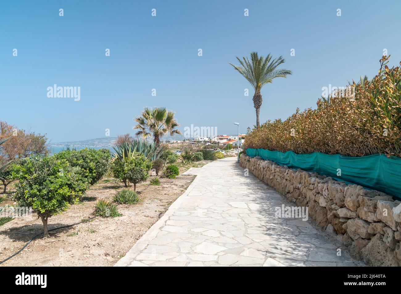 Pedestrian alley along flora in Cyprus Stock Photo - Alamy