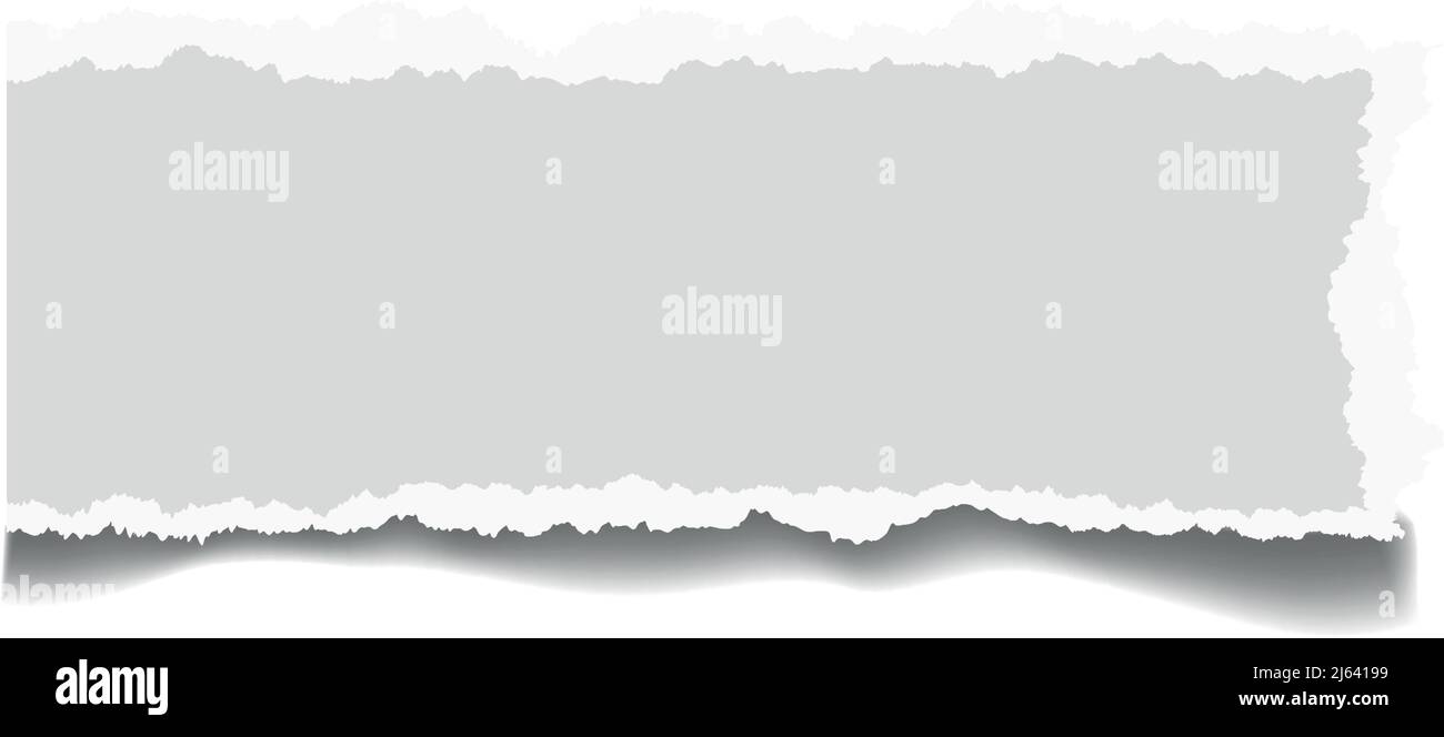 Ripped paper stripe. Realistic torn edge texture Stock Vector Image ...
