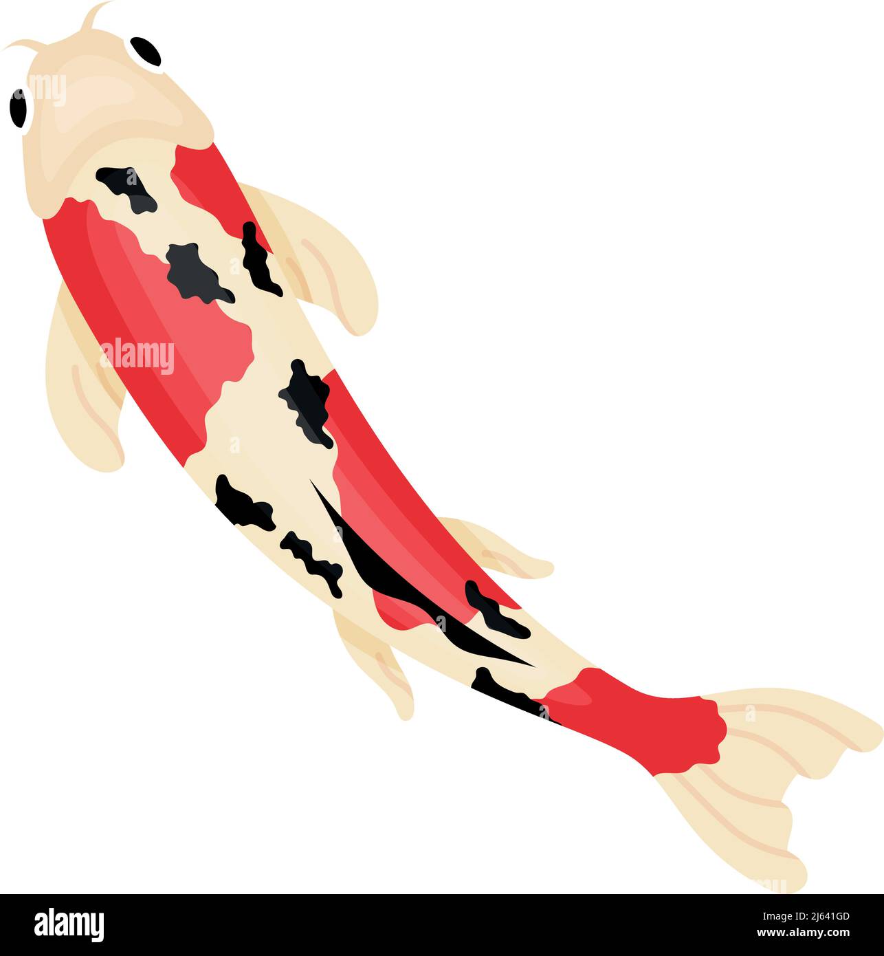 Chinese carp top view. Color spot fish Stock Vector Image & Art - Alamy