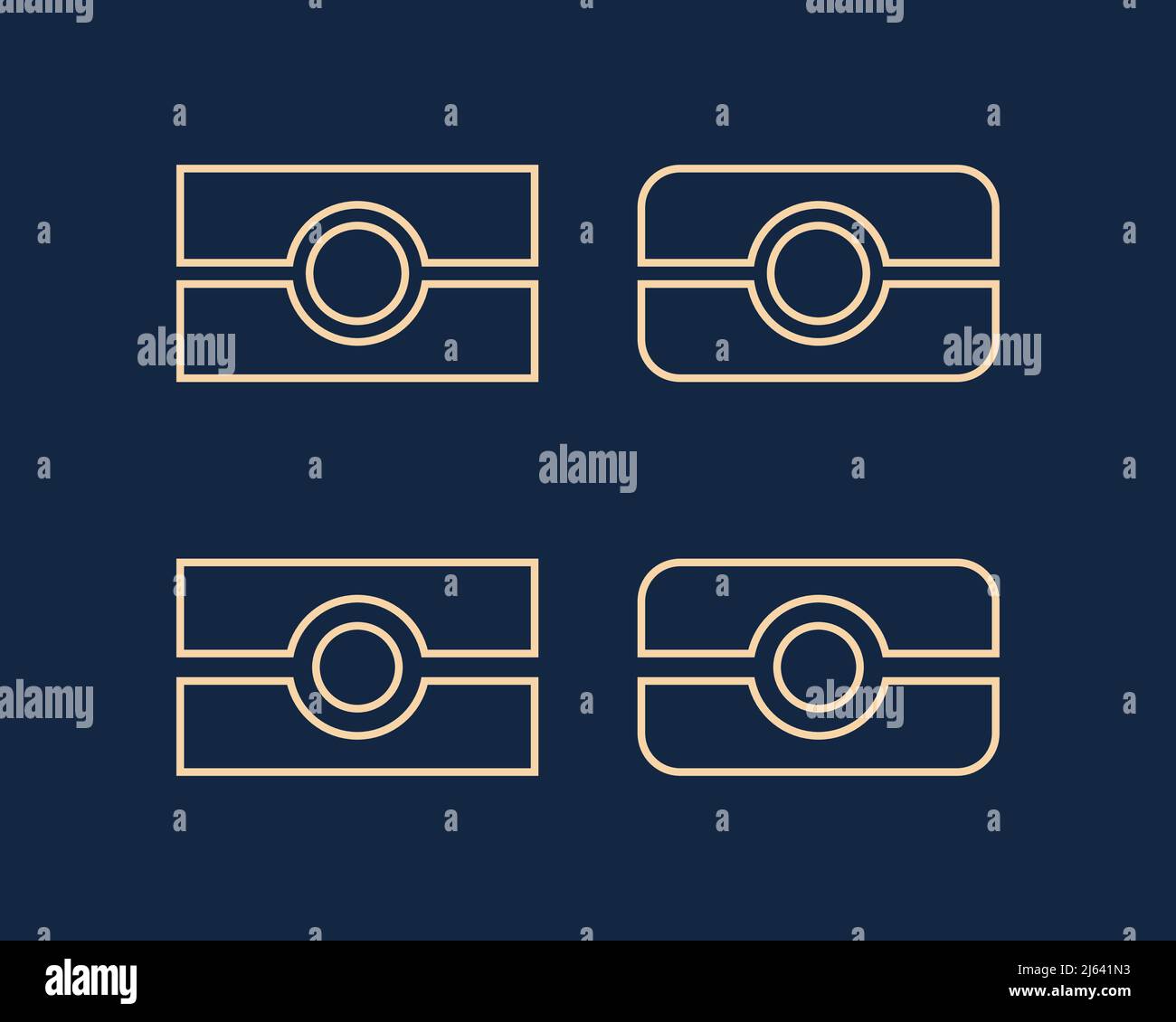Biometric passport symbol. Simple vector icon set for international ...