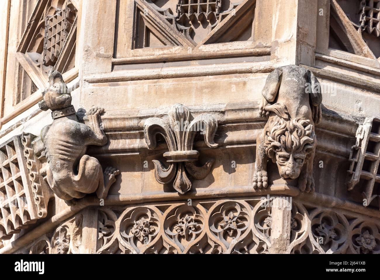 Gargoyle, animal detail on Westminster Abbey. Gothic abbey church in ...