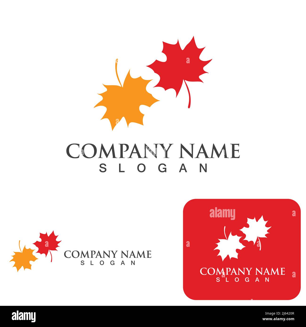 Maple leaf vector illustration design template Stock Vector Image & Art ...