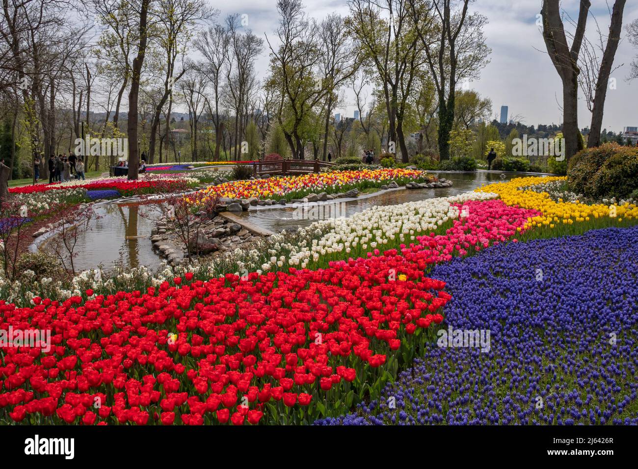 Tulip Festival in Emirgan Park in Sariyer district of Istanbul, Turkey ...
