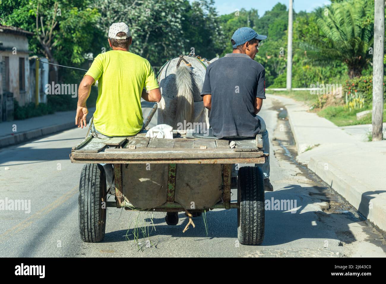 Daily Transportation in Cuba, 2017 Stock Photo - Alamy