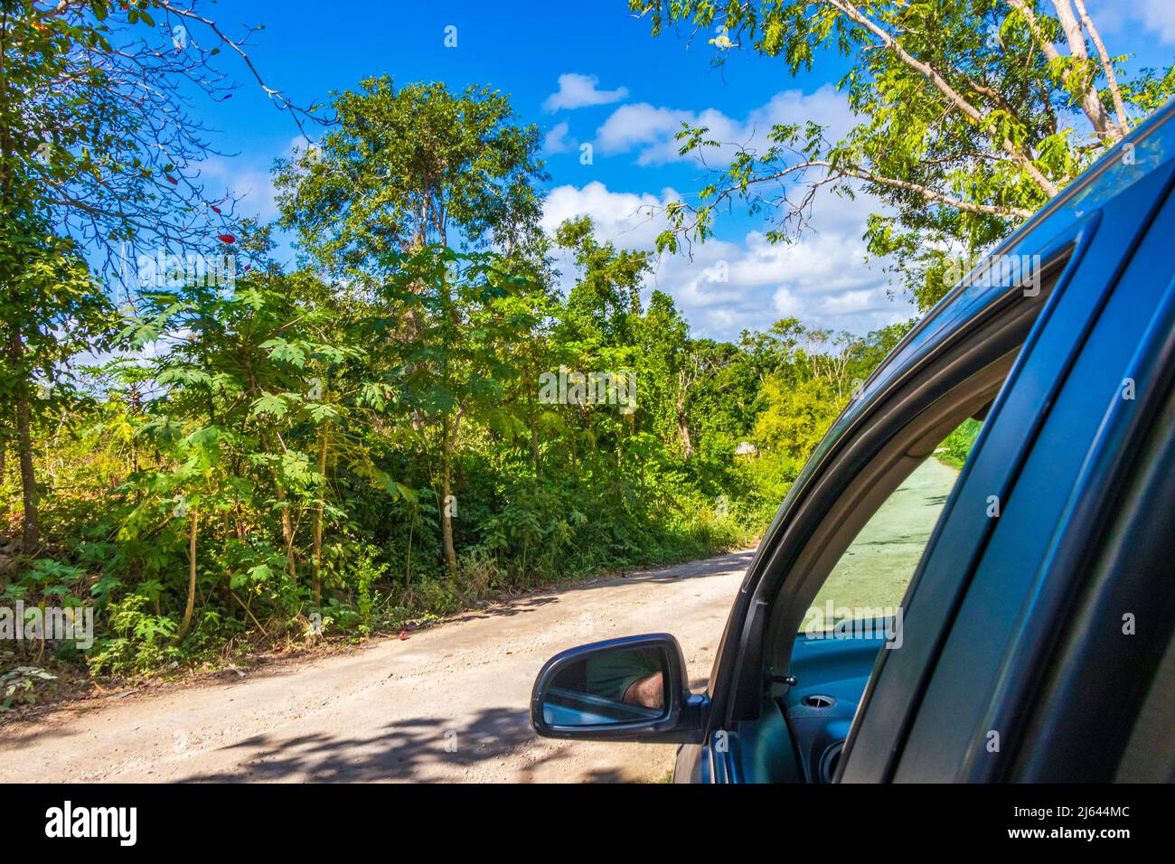 Driving on the gravel path road in the jungle and tropical nature of ...