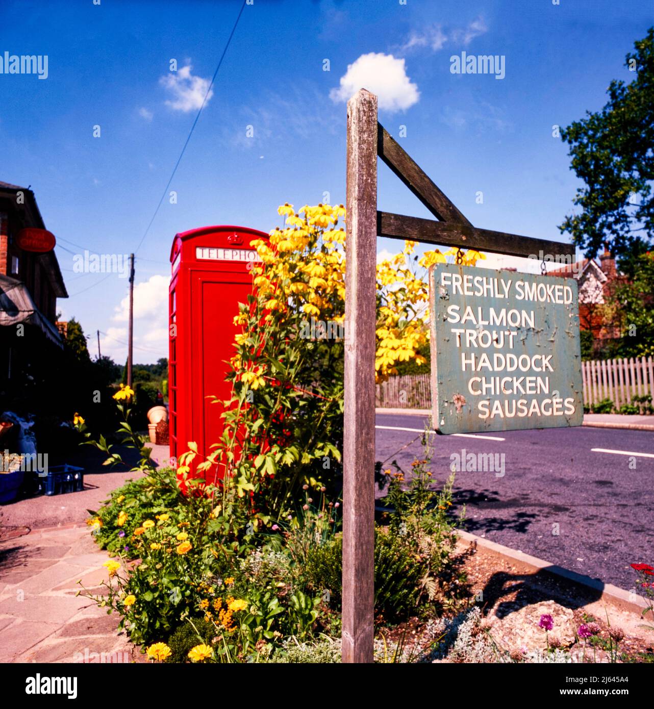 Historic British red phone box with yellow flowers in front and sunny ...