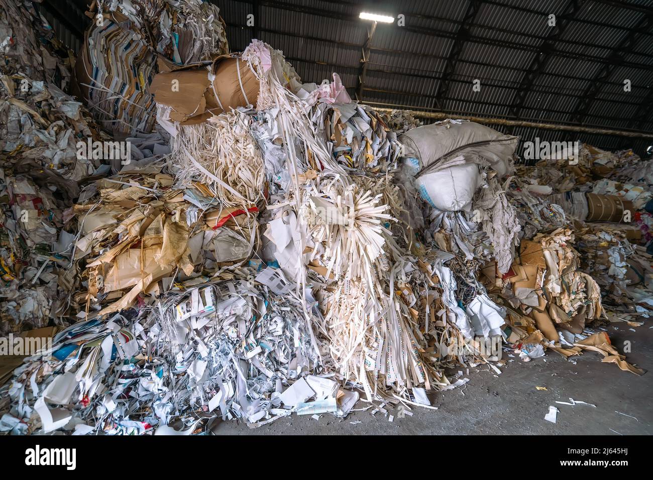 Waste paper sorting and filing for processing at paper recycling plant ...