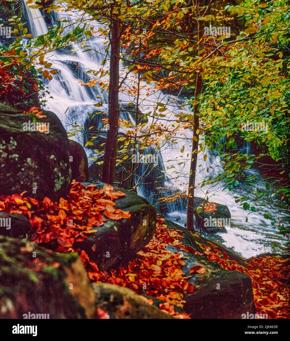 Waterfall at Virginia Water Stock Photo - Alamy