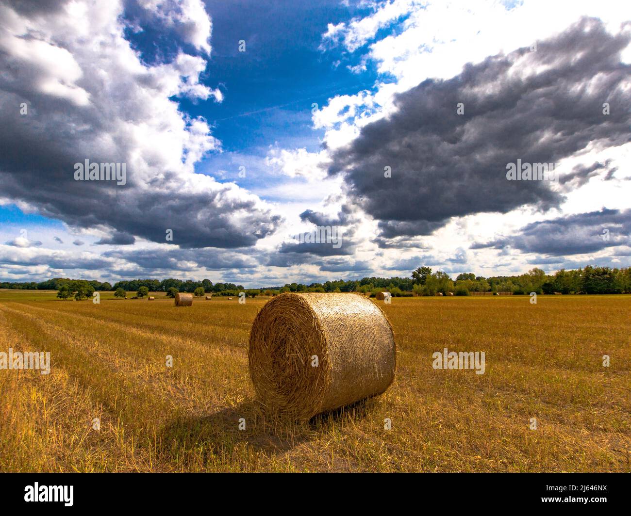 Bale landscape hi-res stock photography and images - Alamy
