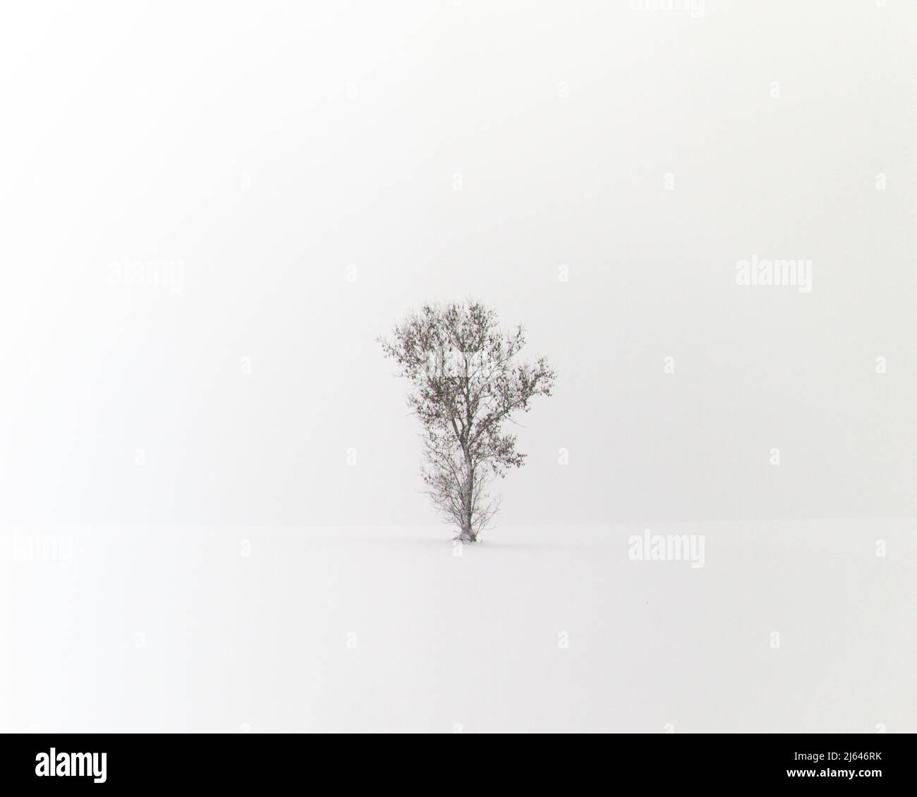 Beautiful winter storm scenery hi-res stock photography and images - Alamy