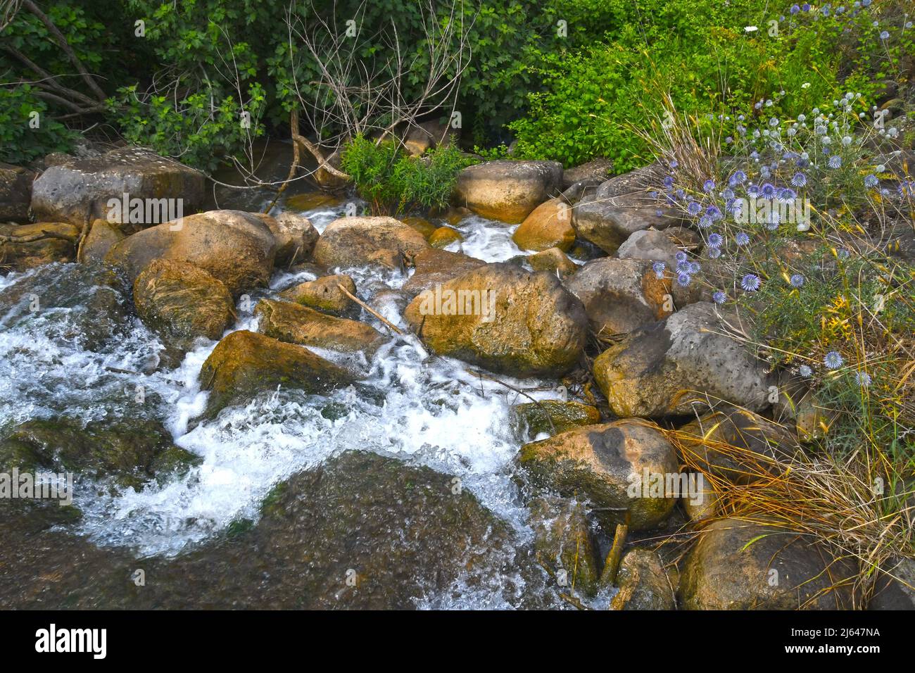 Strong water stream forest in hi-res stock photography and images - Alamy