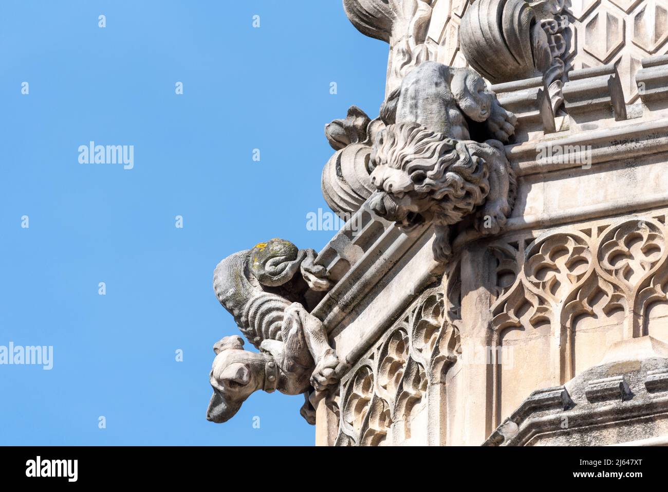 Gargoyle, animal detail on Westminster Abbey. Gothic abbey church in ...
