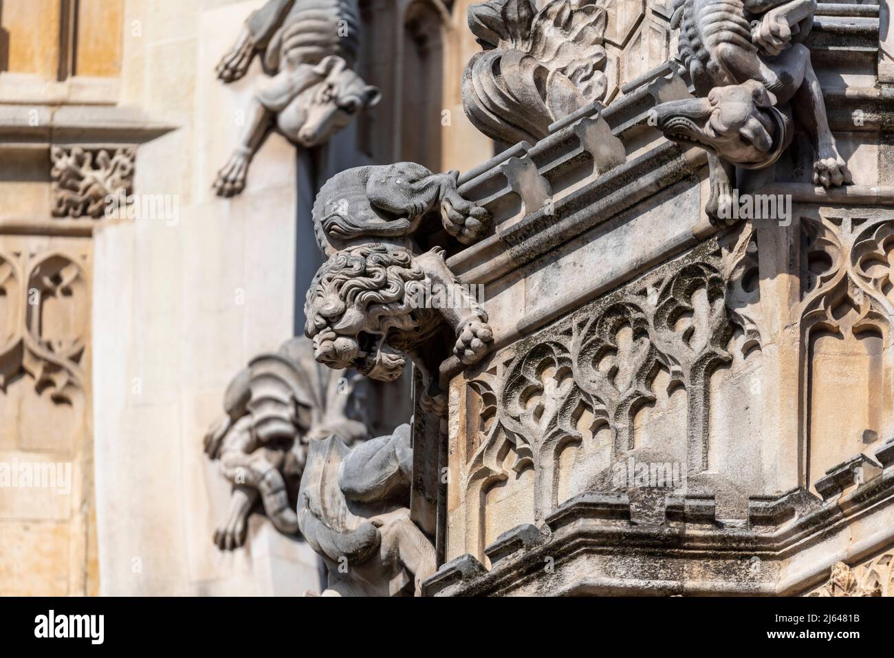 Gargoyle, animal detail on Westminster Abbey. Gothic abbey church in ...