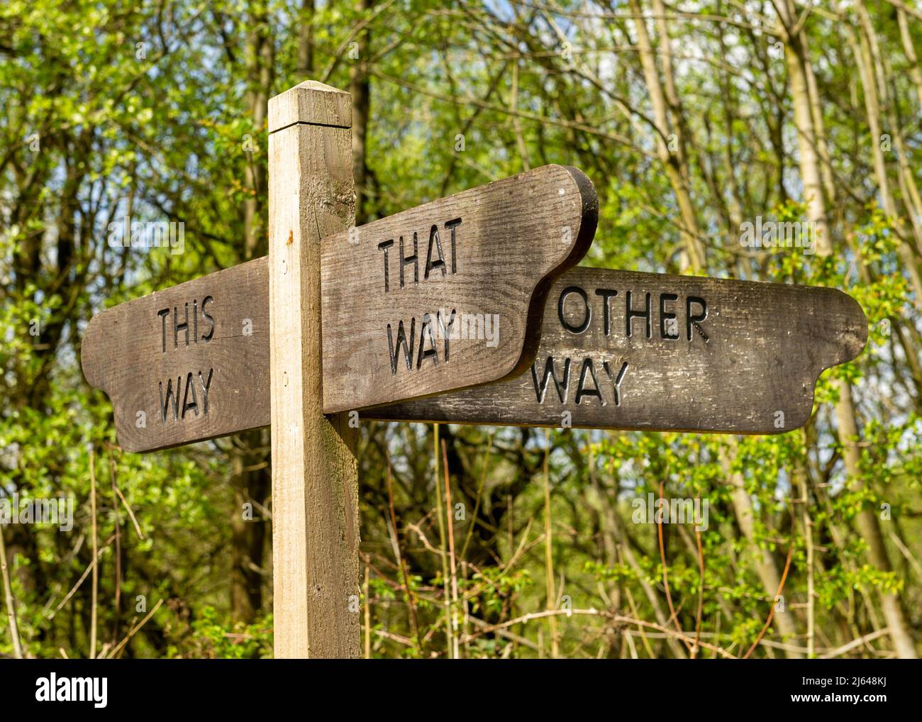 Making a Big Life Changing Decision Stock Photo - Alamy