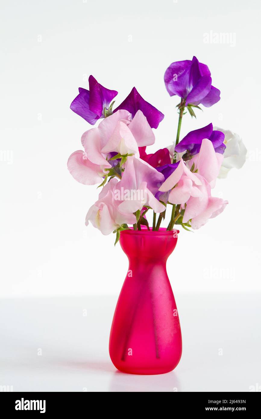 White Sweet Pea Bouquet