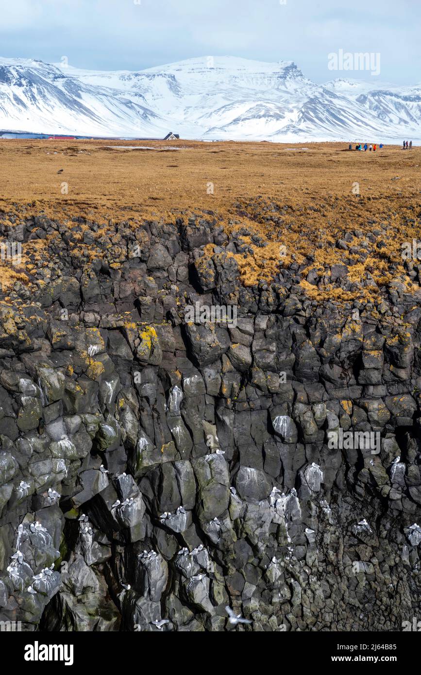 Photograph of the volcanic rock bridge at the Gatklettur Cliff walk ...