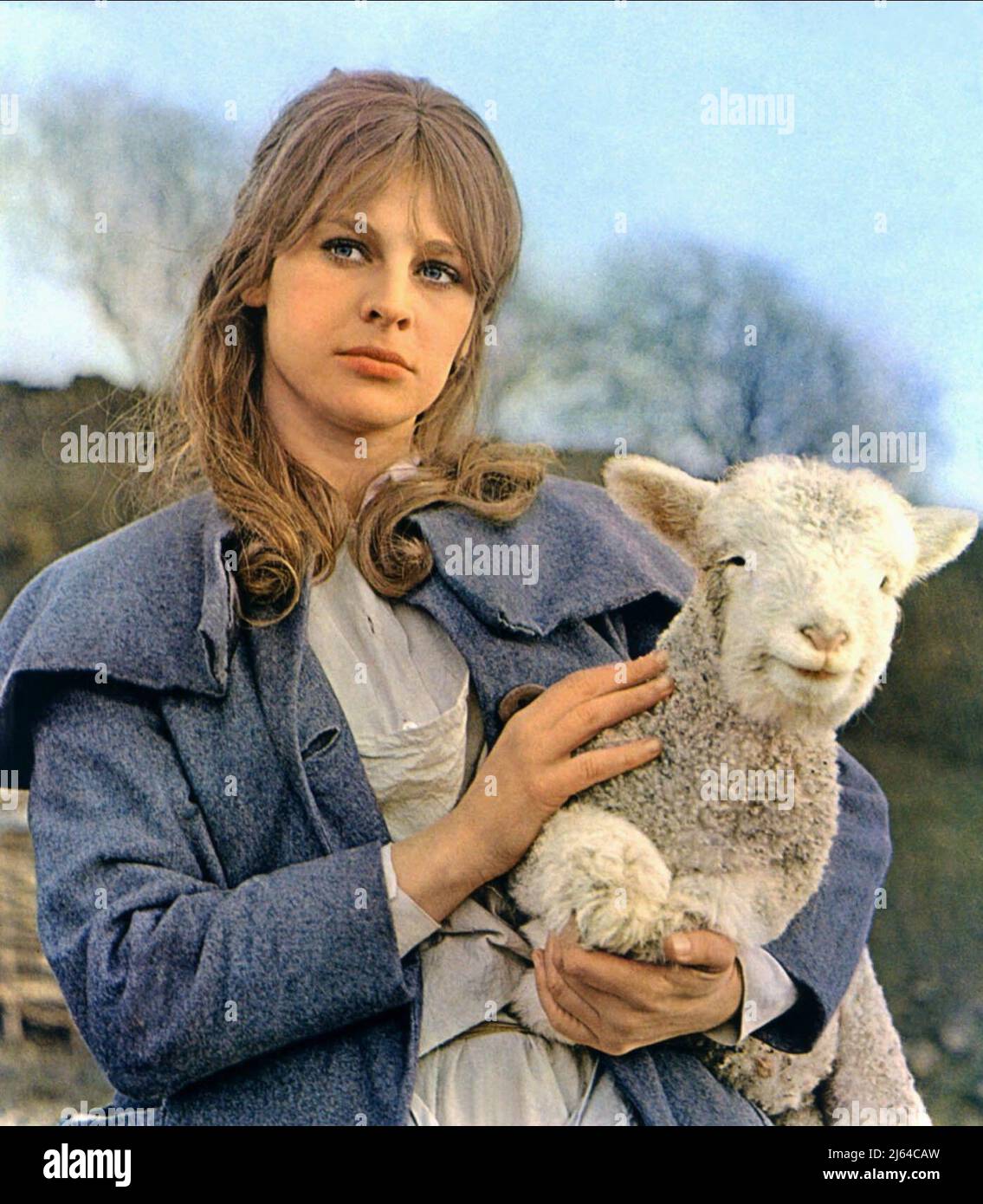 JULIE CHRISTIE, FAR FROM THE MADDING CROWD, 1967 Stock Photo - Alamy JULIE CHRISTIE, FAR FROM THE MADDING CROWD, 1967 Stock Photo - Alamy