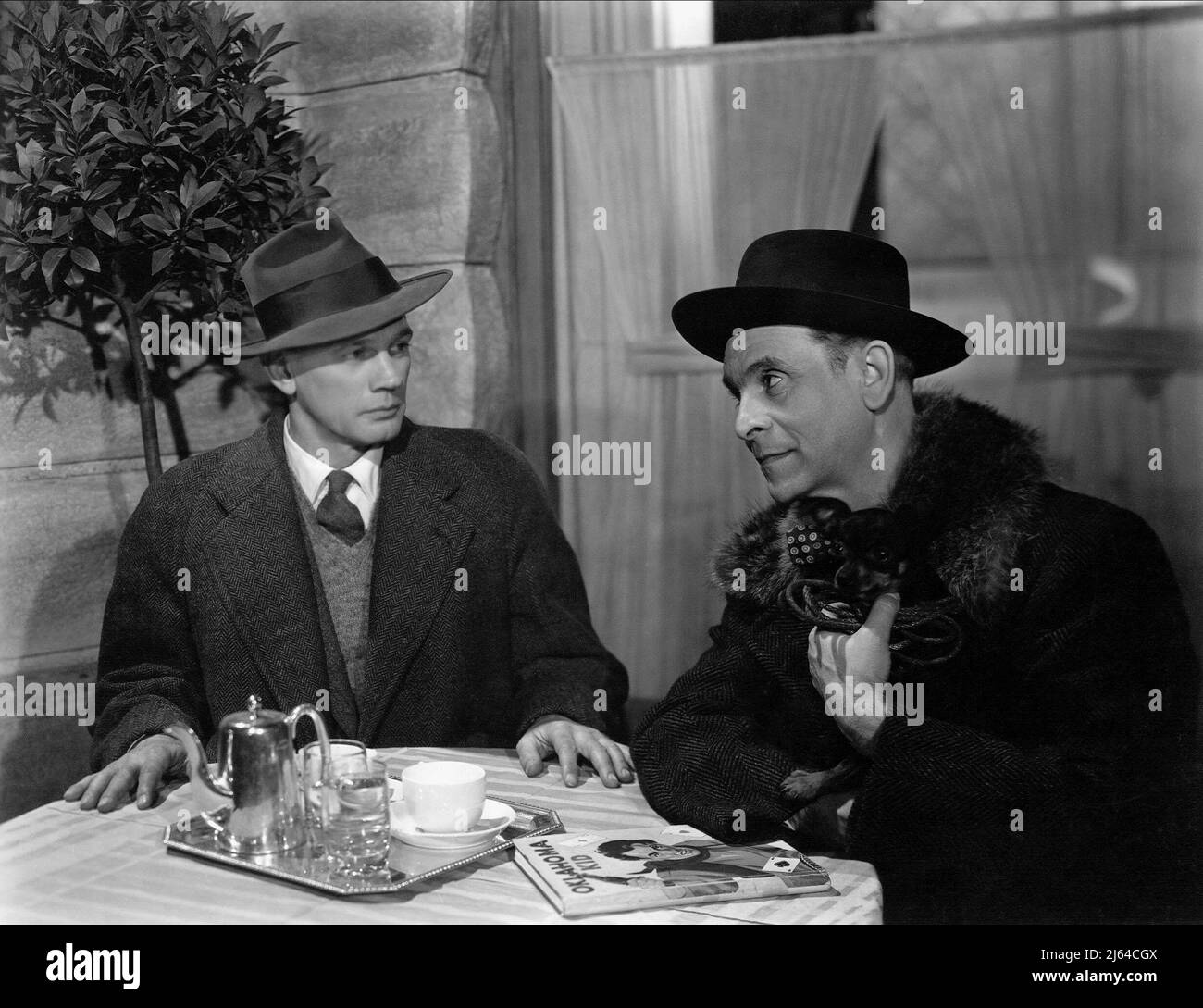 Joseph Cotten The Third Man