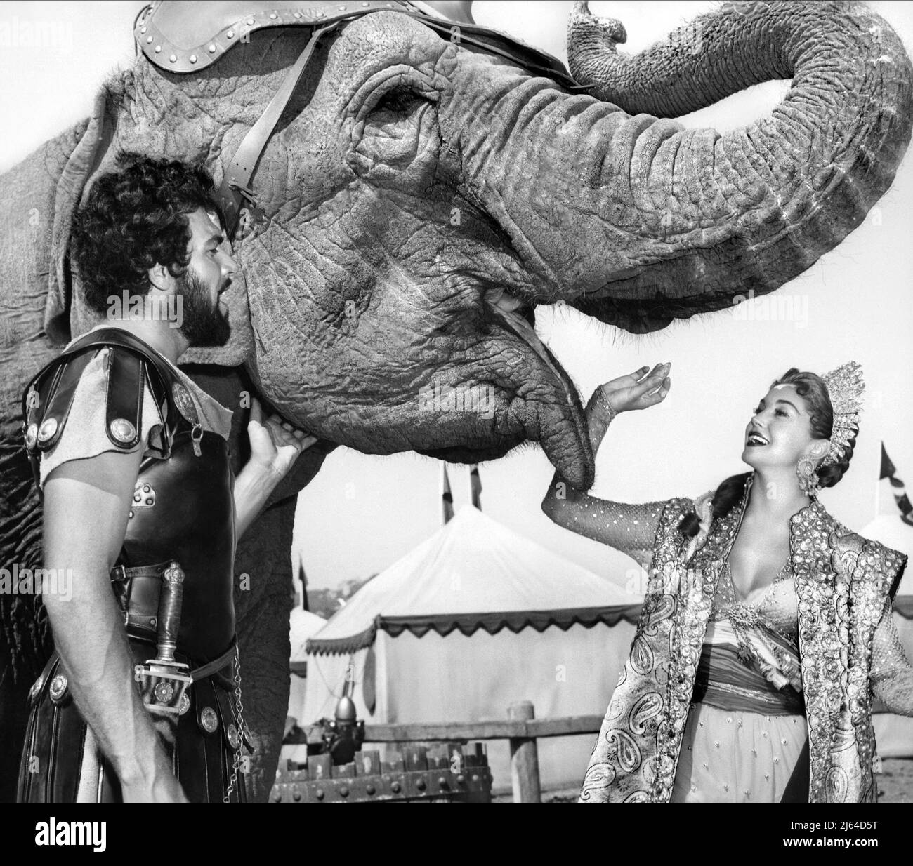 Gower Champion Elephant