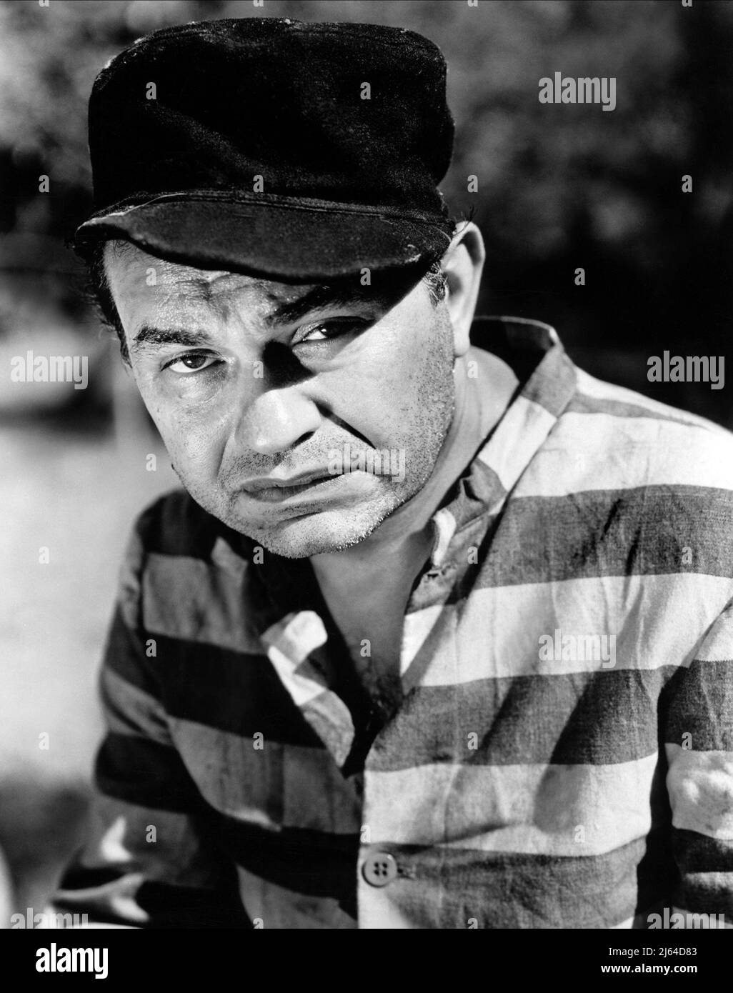 H robinson Black and White Stock Photos & Images - Alamy