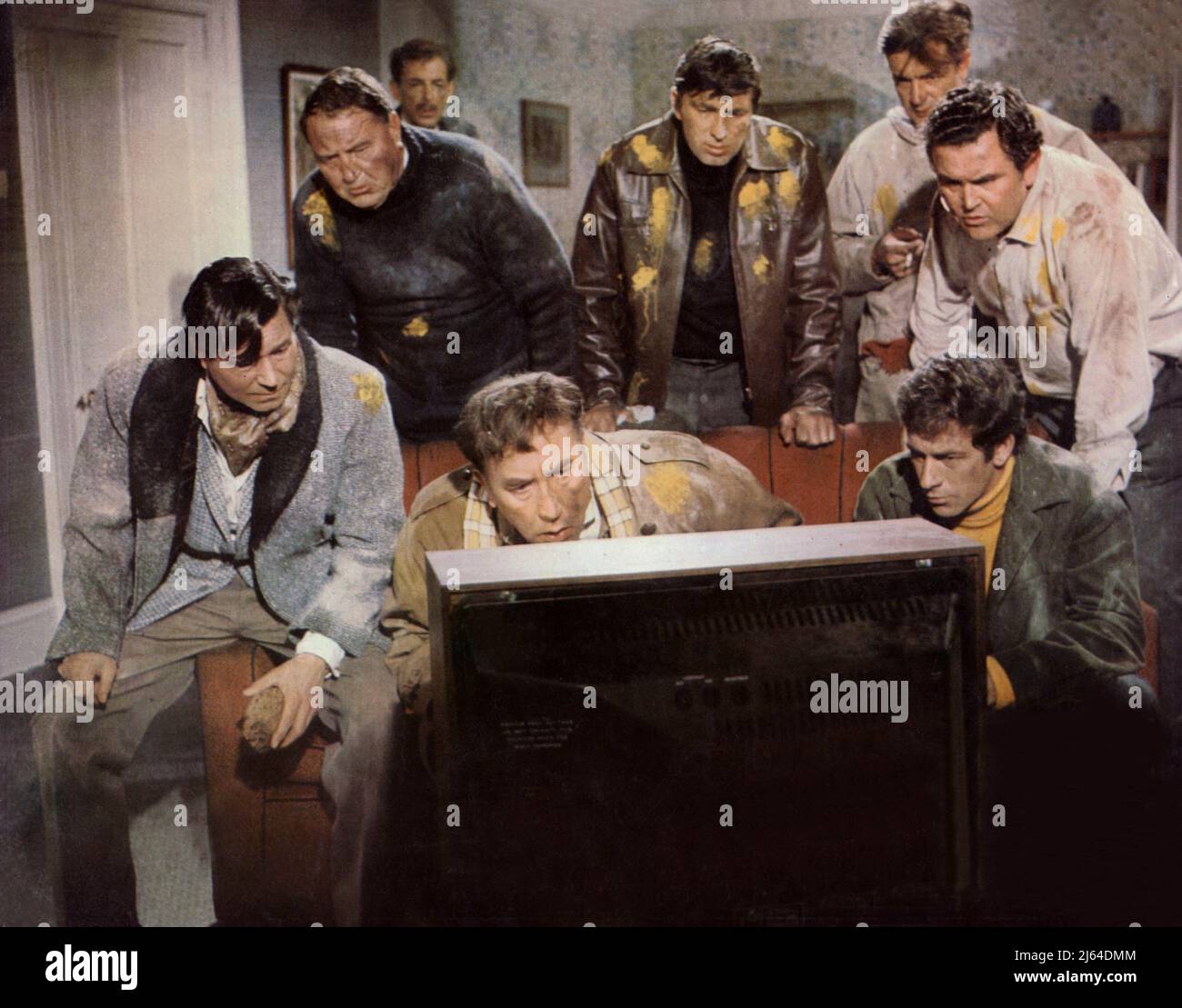 Martyn edwards hi-res stock photography and images - Alamy