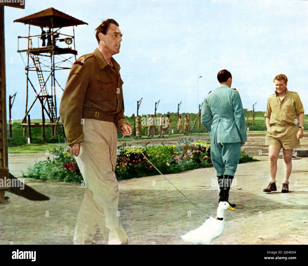 ALEXANDER,HOUSTON, DANGER WITHIN, 1959 Stock Photo - Alamy