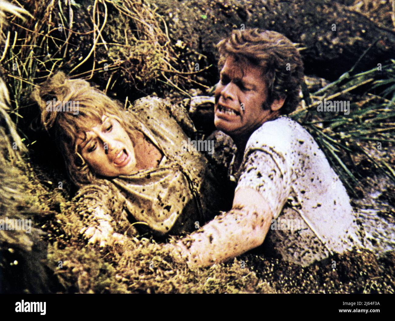 Susan penhaligon hi-res stock photography and images - Alamy