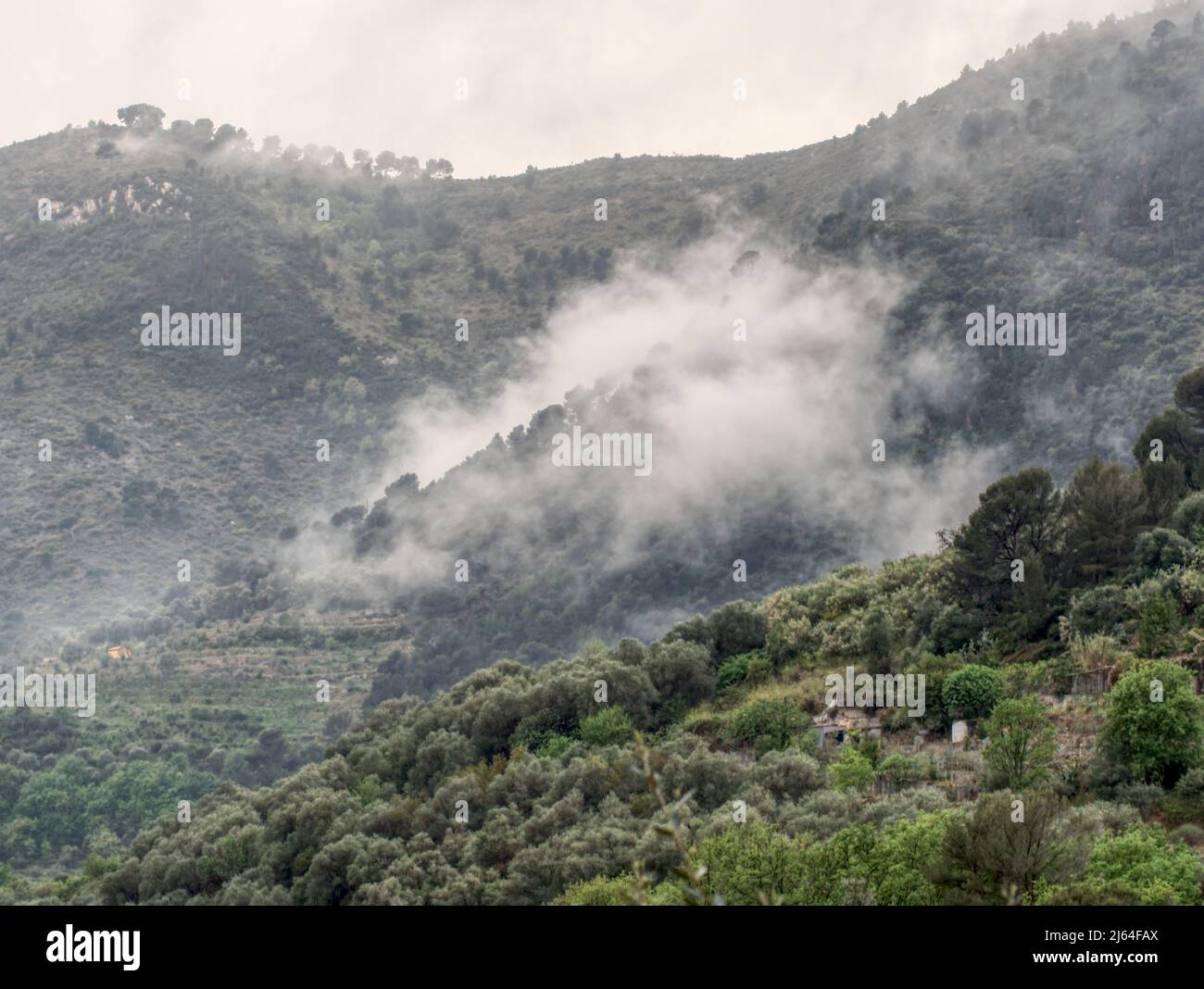 Nebbie hi-res stock photography and images - Alamy