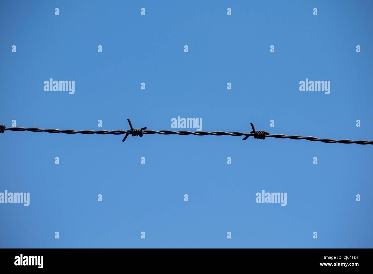 Sharp wire hi-res stock photography and images - Alamy