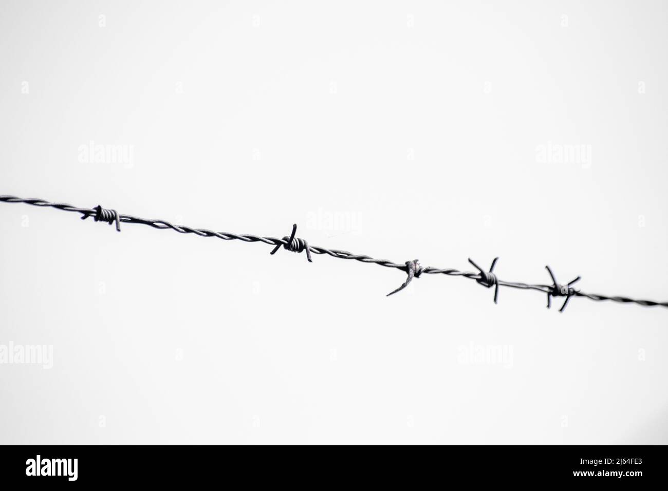 detail of a barbed wire Stock Photo - Alamy
