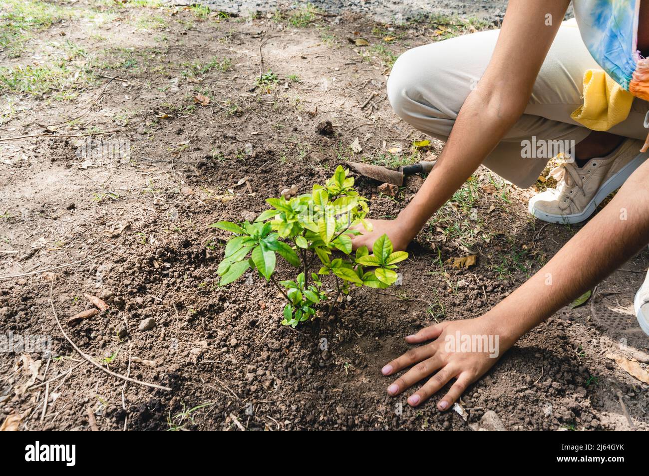 Girl planting a tree hi-res stock photography and images - Alamy
