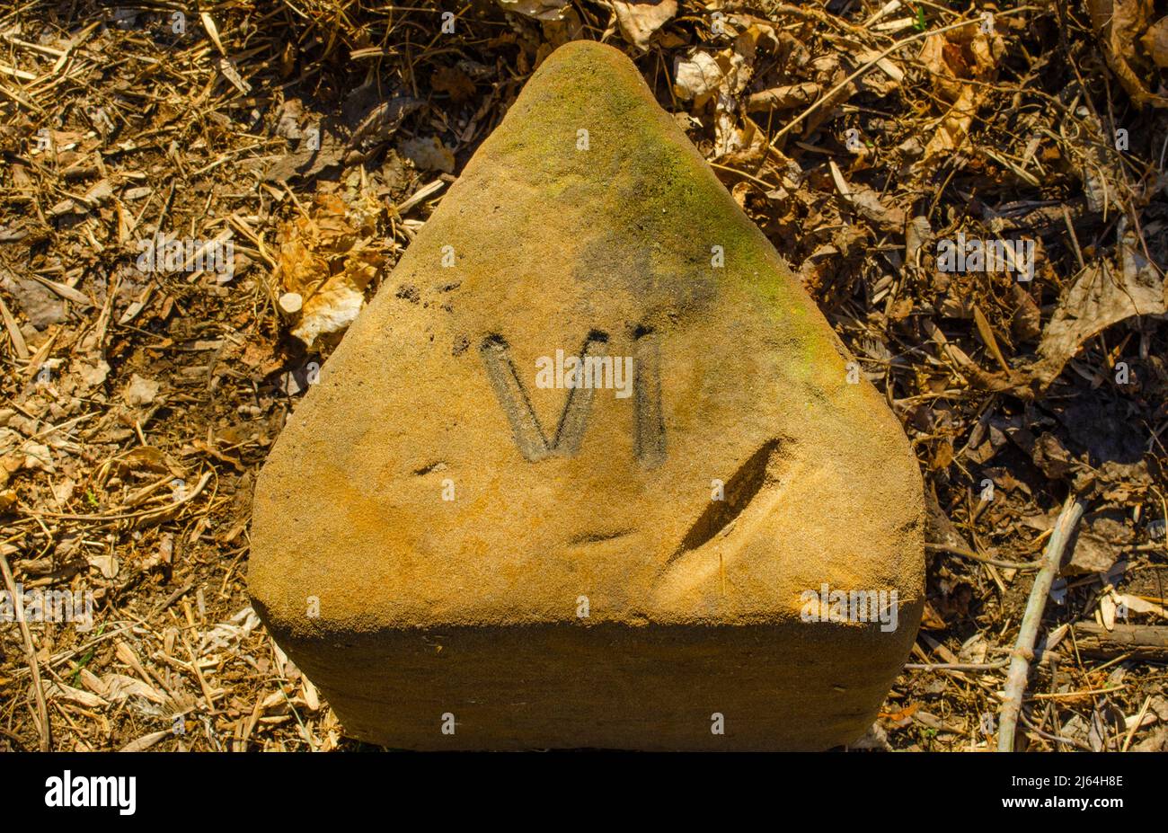 Four leaf stage hi-res stock photography and images - Alamy