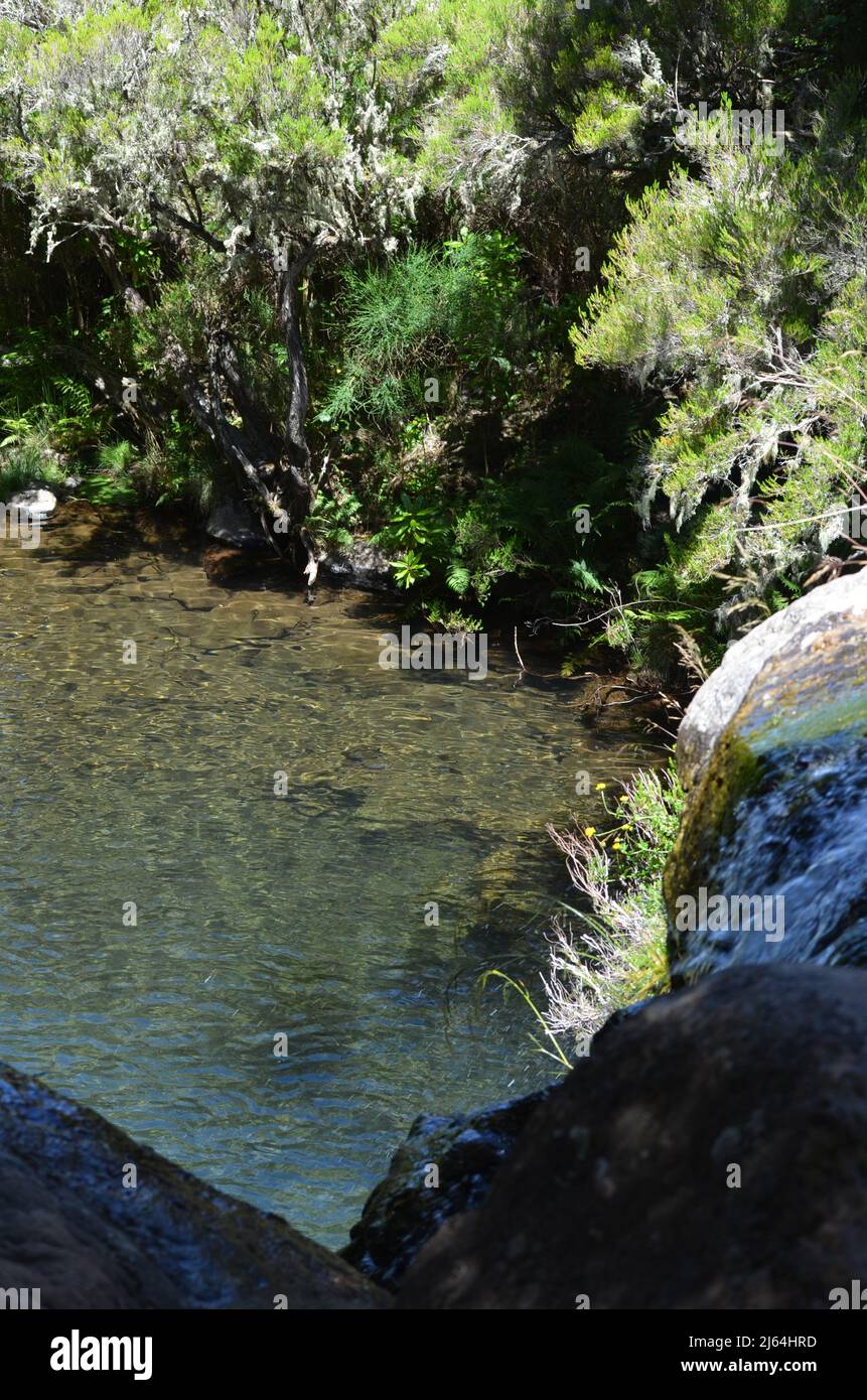 Clear inflow hi-res stock photography and images - Alamy