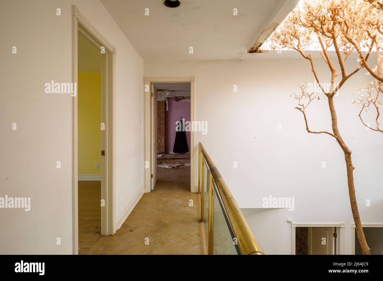 A dead tree growing inside an abandoned mansion Stock Photo - Alamy