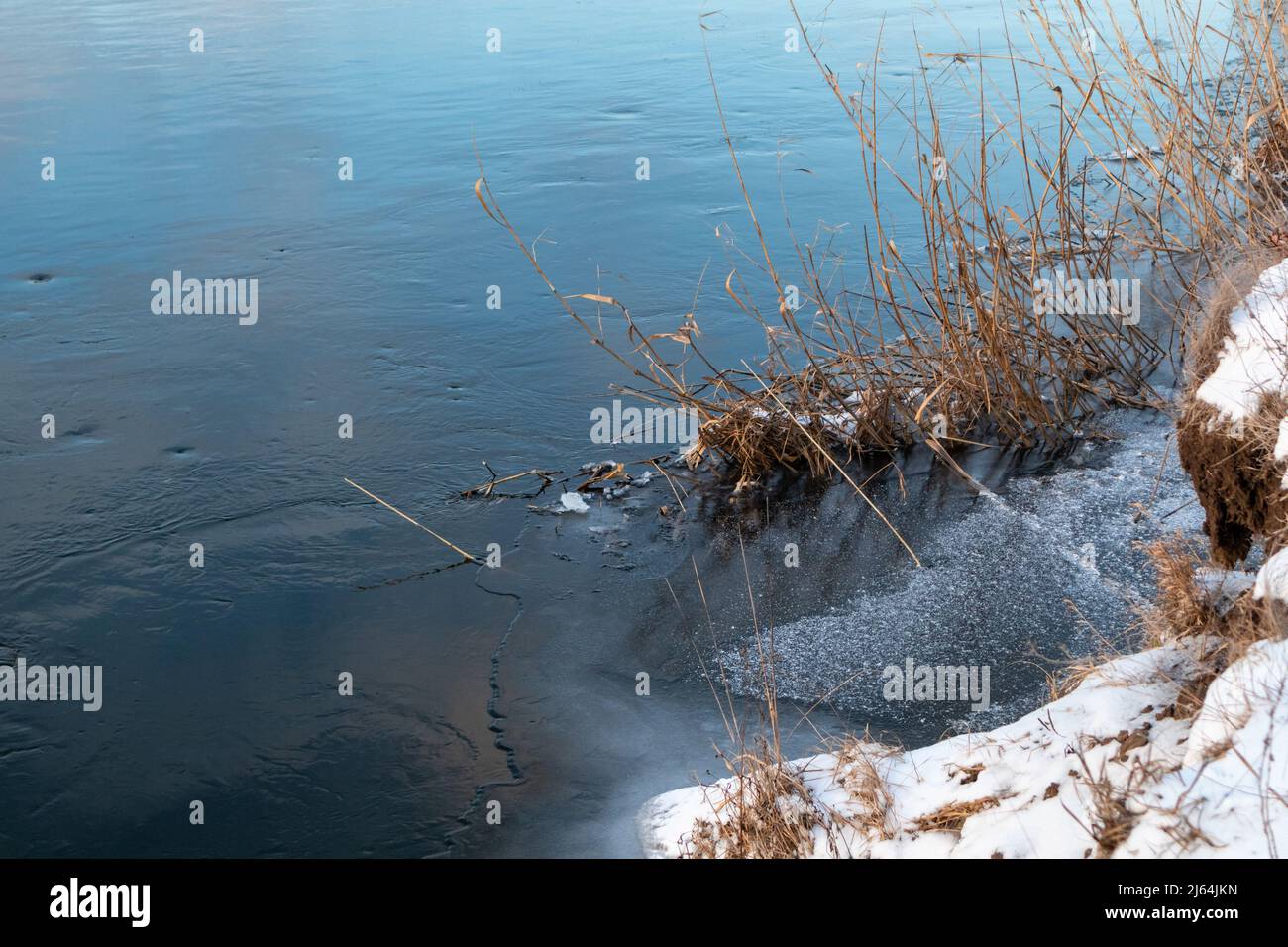 Winter view on cold snowy frozen river shore with dry grass. Water flow ...