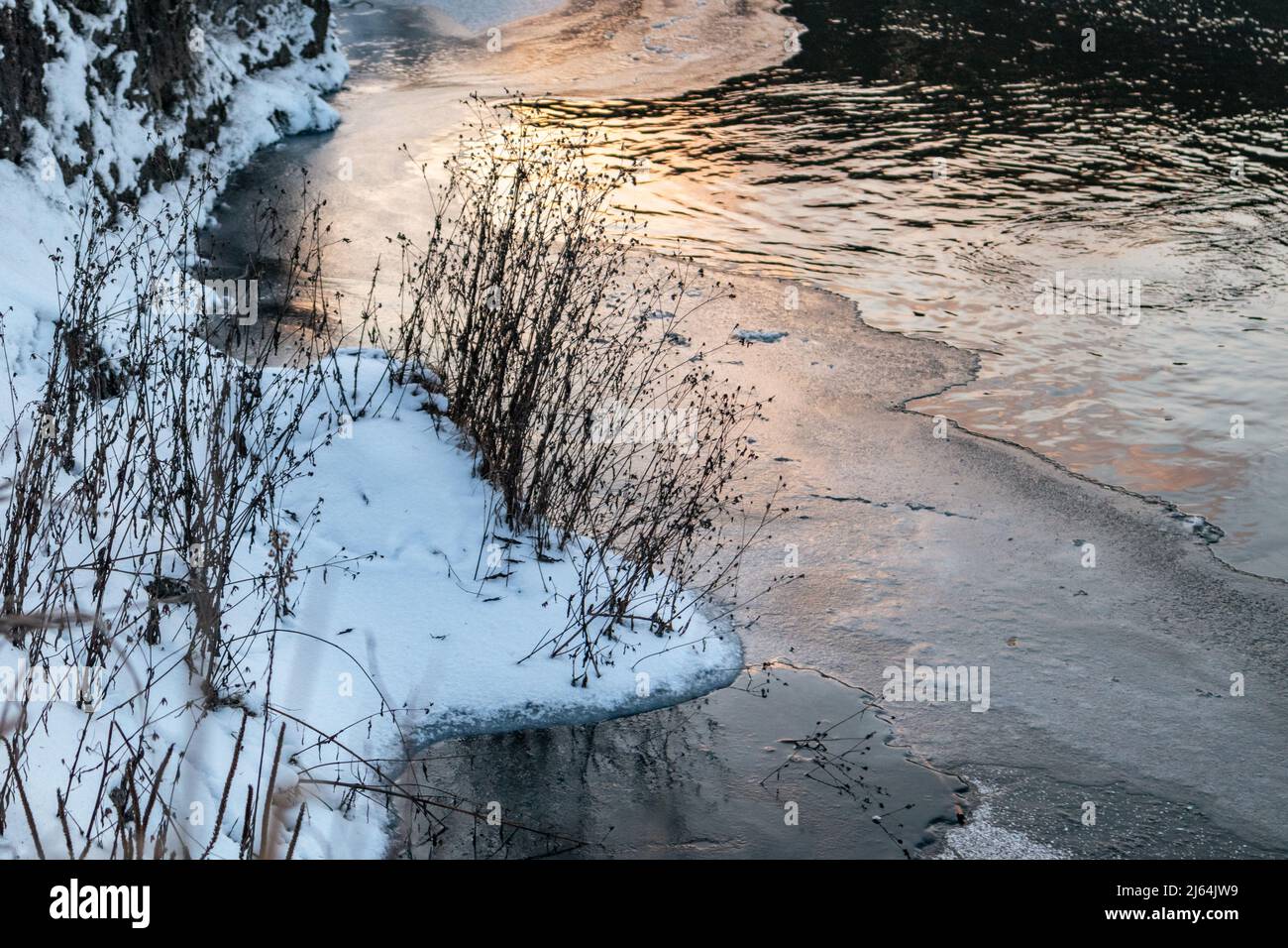 Winter view on cold snowy frozen river with dry grass and sun ...