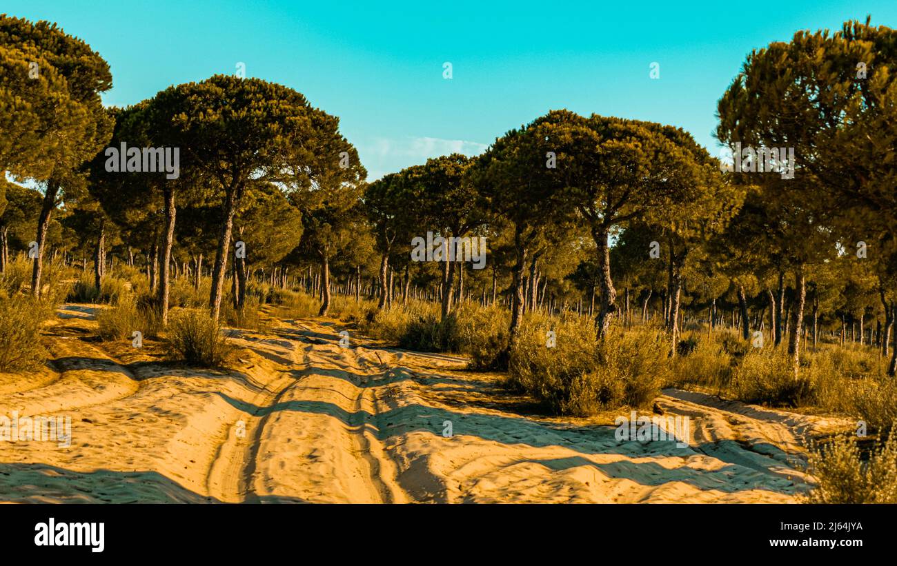 Donana National Park in Spain A UNESCO World Heritage Site Stock Photo ...