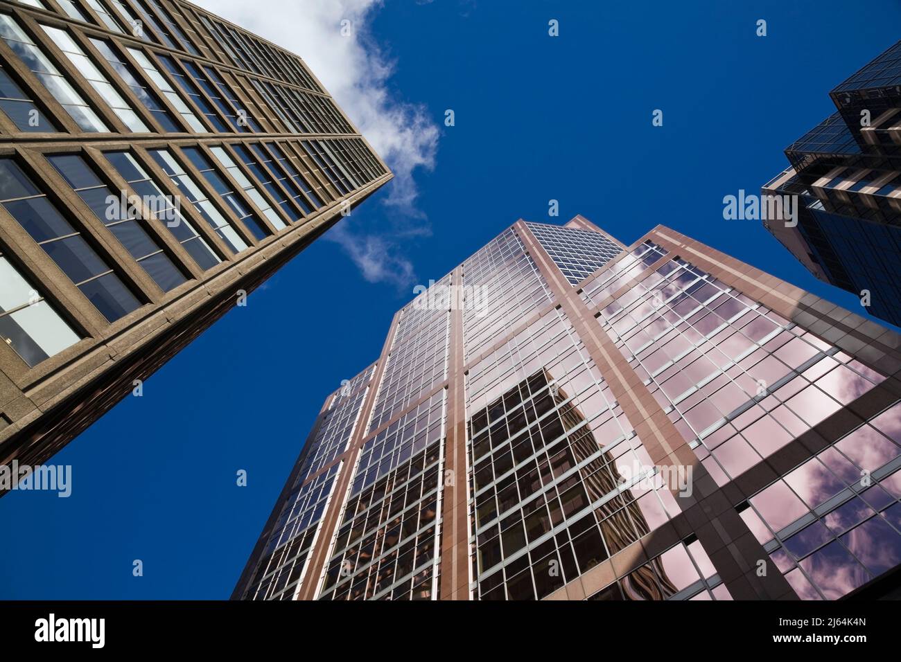 Modern architectural office tower buildings against a blue sky ...