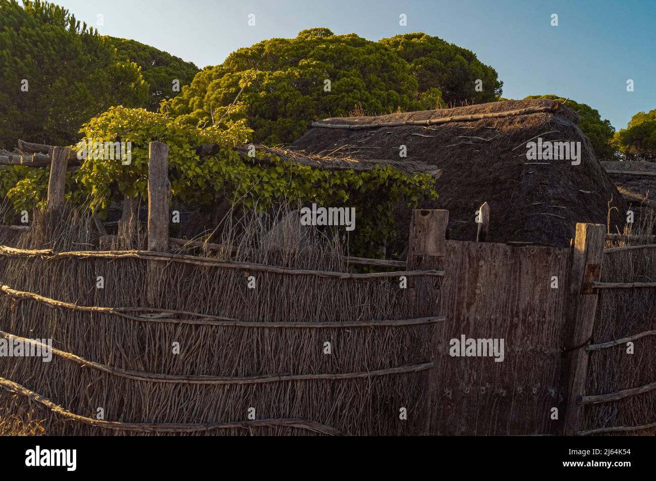 Parque nacional de doana hi-res stock photography and images - Alamy