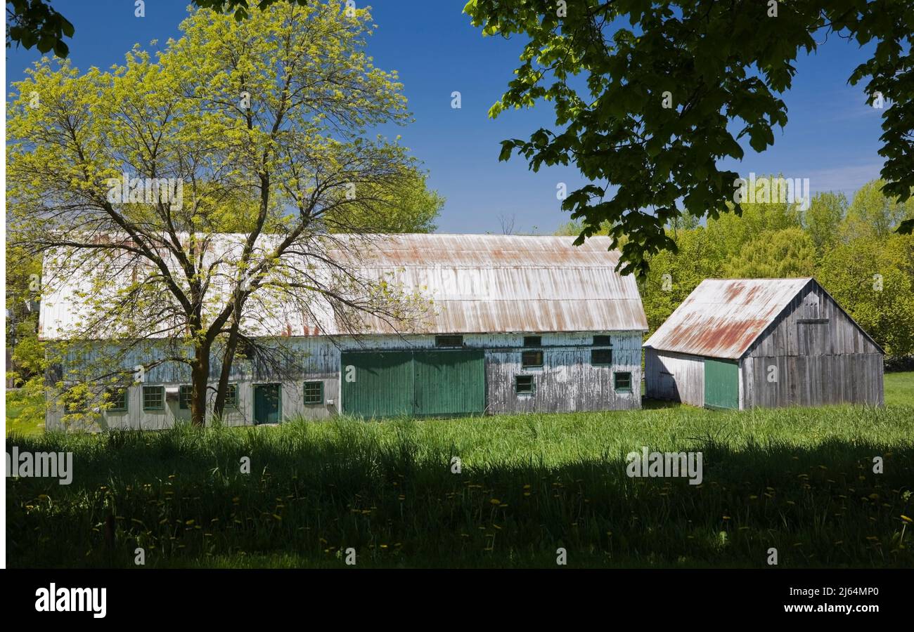 Two old barns through trees in spring, Laval, Quebec, Canada Stock ...