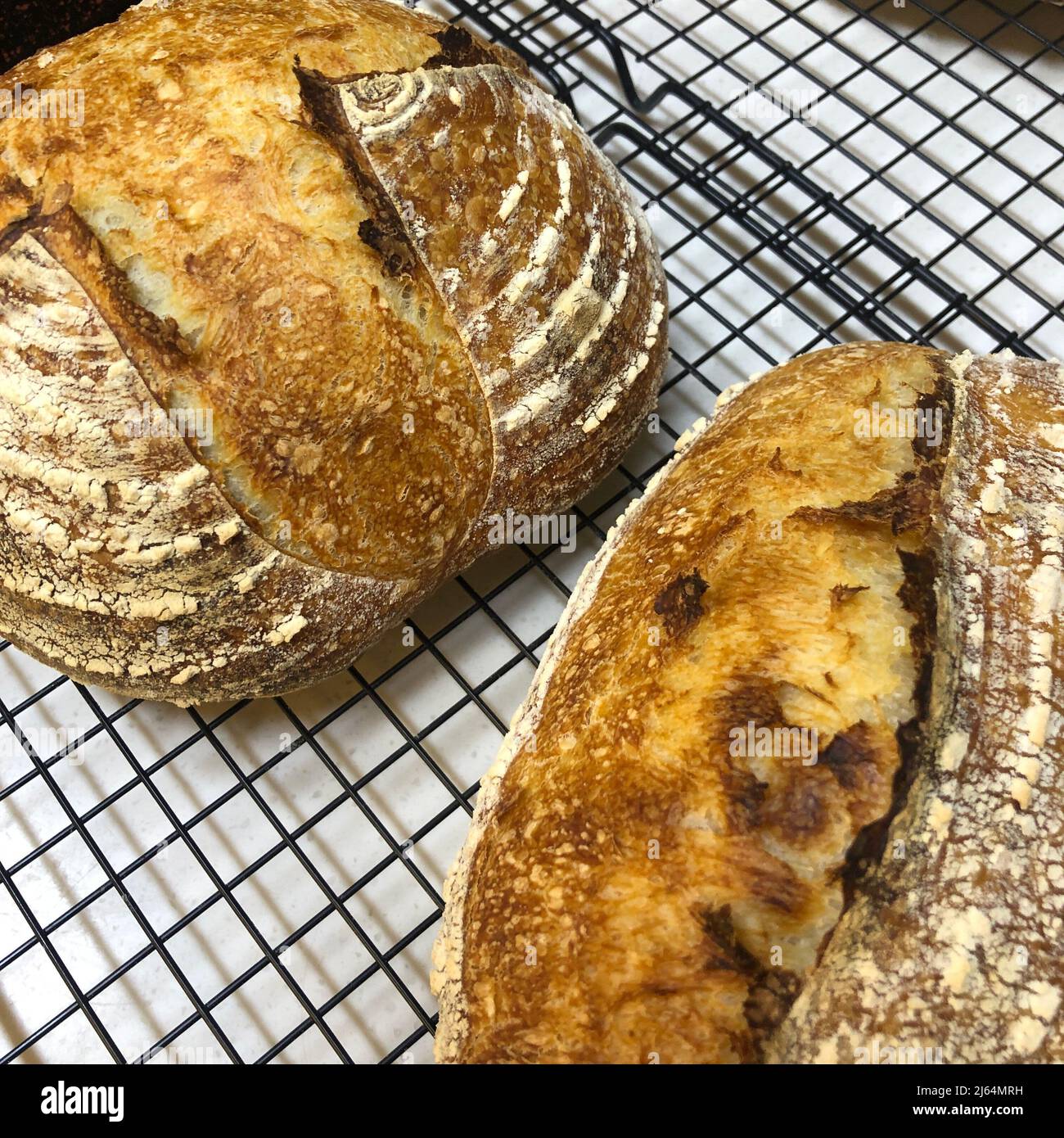 Freshly baked sourdough bread loaves on a metal tray Stock Photo - Alamy