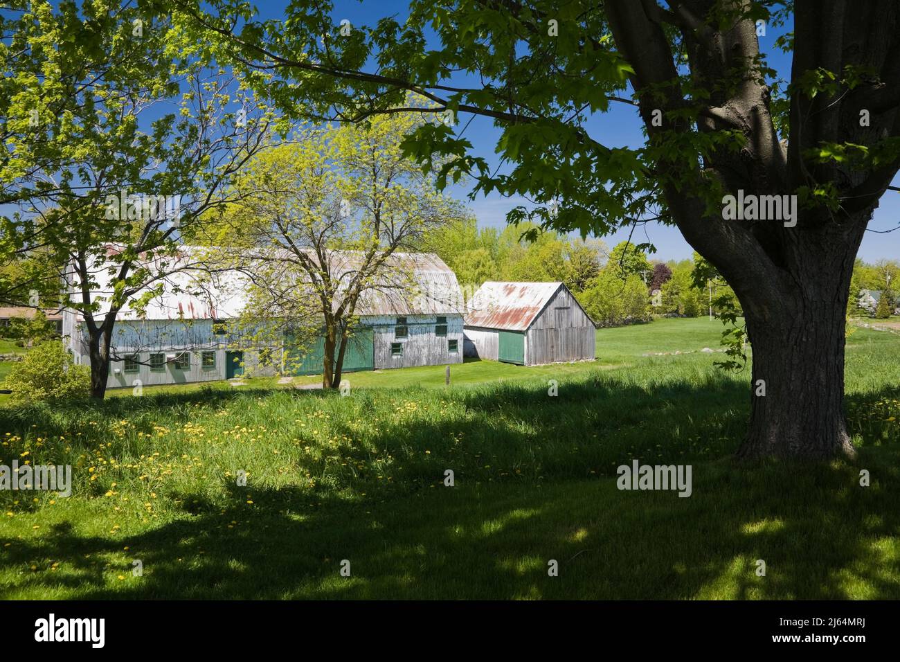 Large wooden barn barns hi-res stock photography and images - Alamy