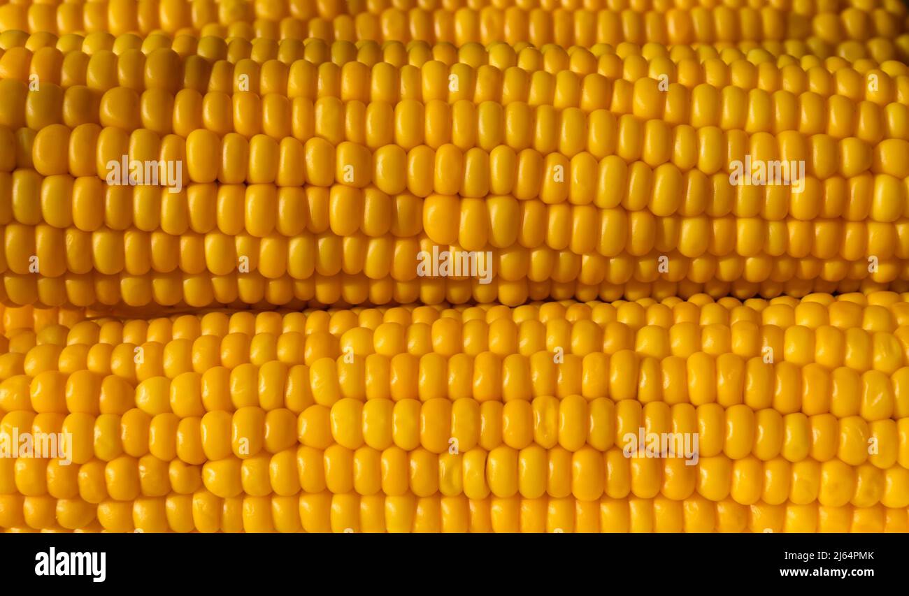 Corn seed texture hi-res stock photography and images - Alamy