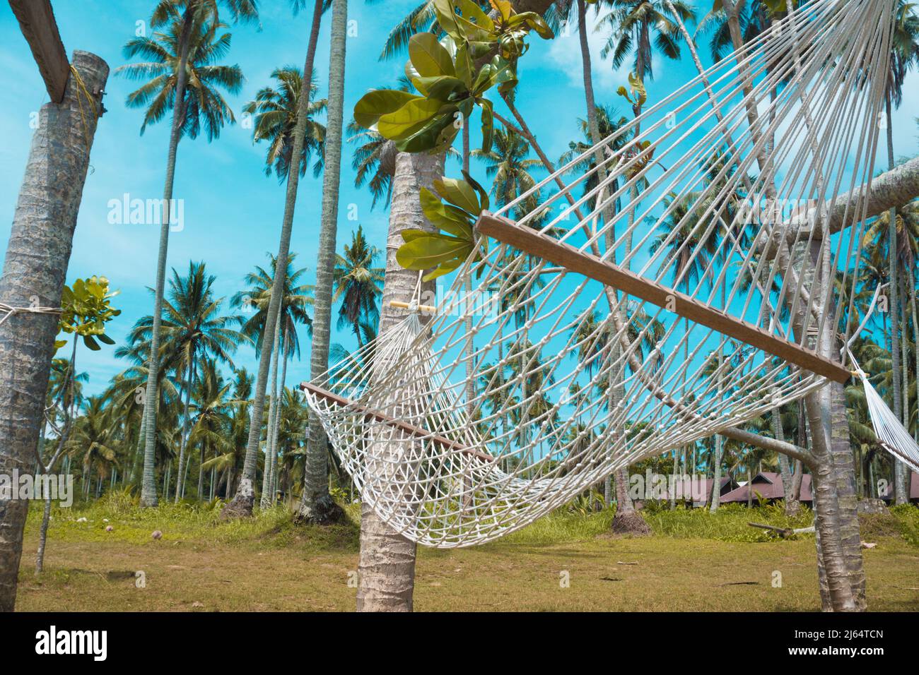 White cradle hold with palm tree on sea beach summer vacation Stock ...