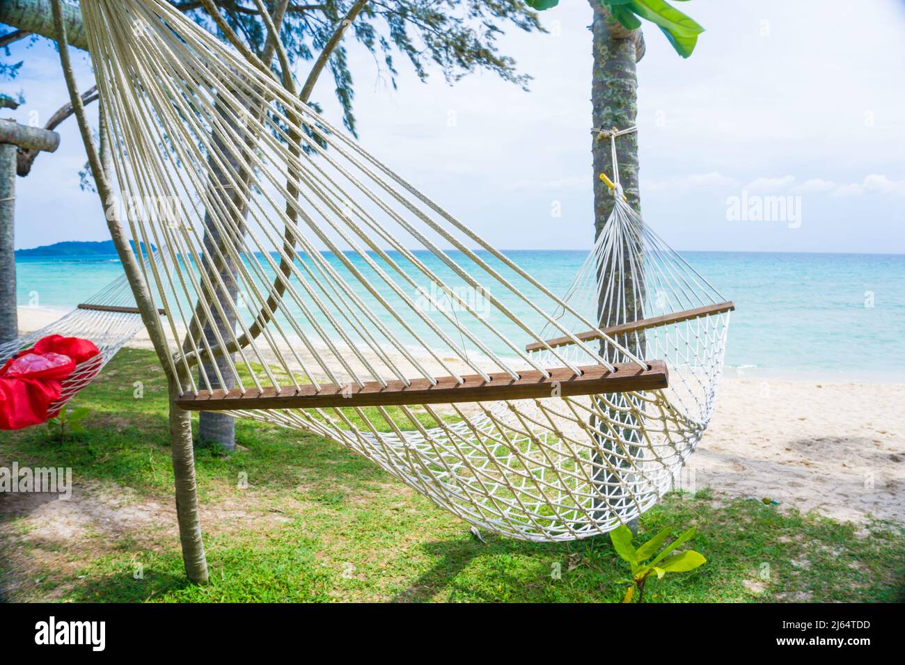 White cradle hold with palm tree on sea beach summer vacation Stock ...
