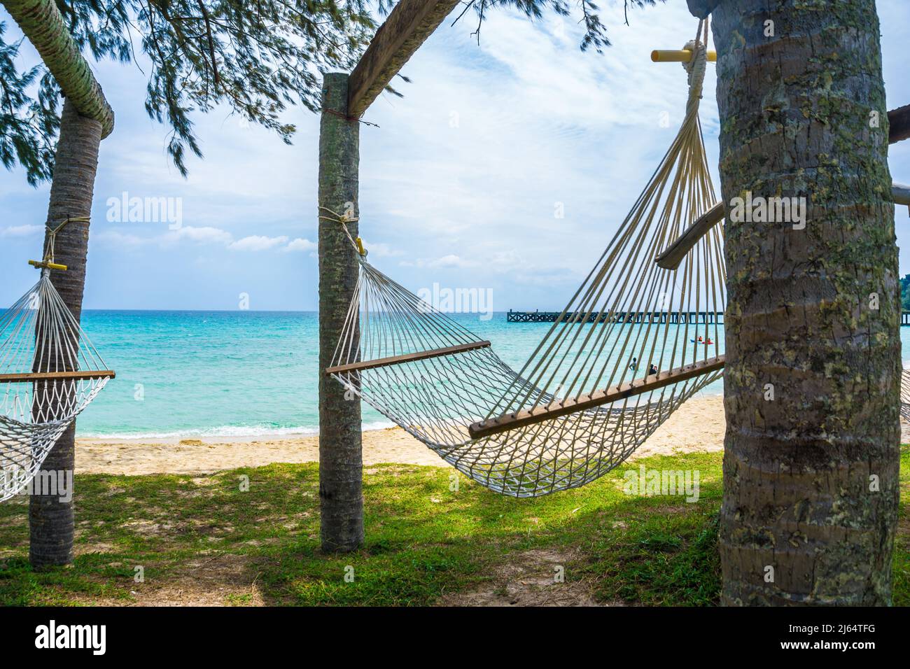 White cradle hold with palm tree on sea beach summer vacation Stock ...