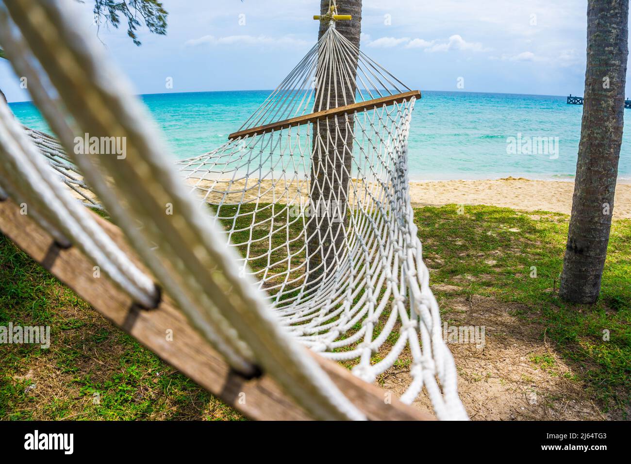 White cradle hold with palm tree on sea beach summer vacation Stock ...