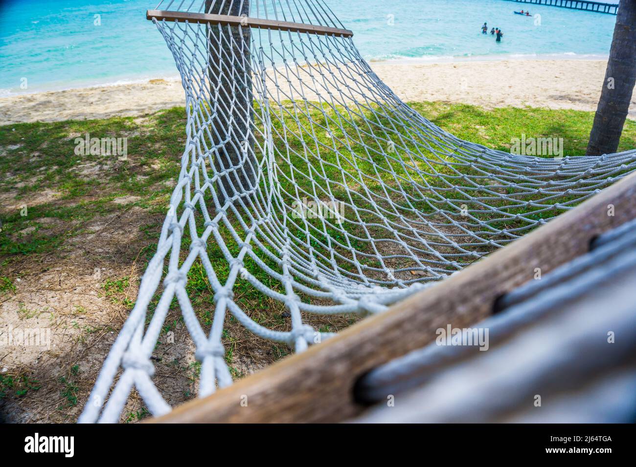White cradle hold with palm tree on sea beach summer vacation Stock ...